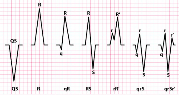 O electrocardiograma – ANGOMED NEWS