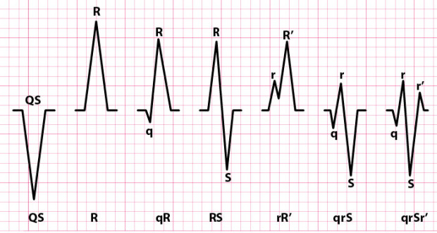 O electrocardiograma – ANGOMED NEWS